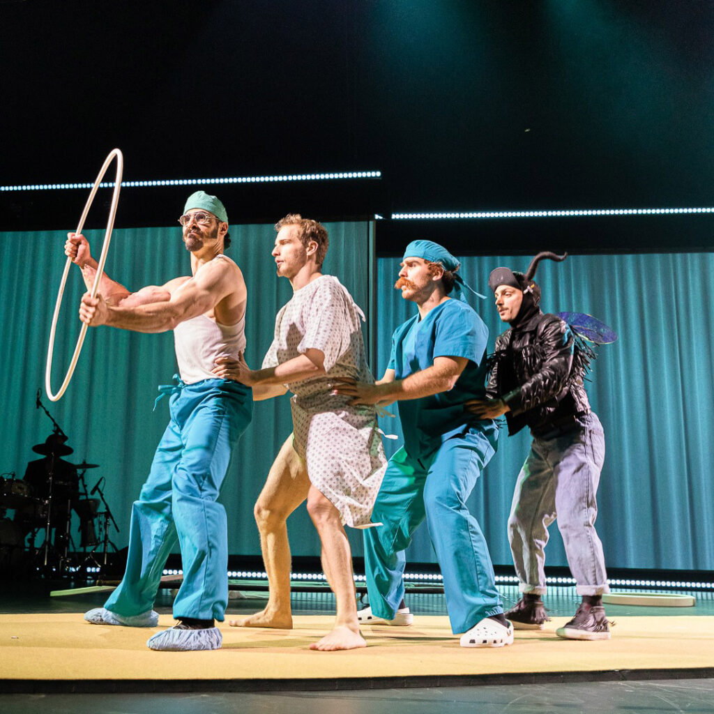 Hoops Désolé - Rizzi & Rizzi